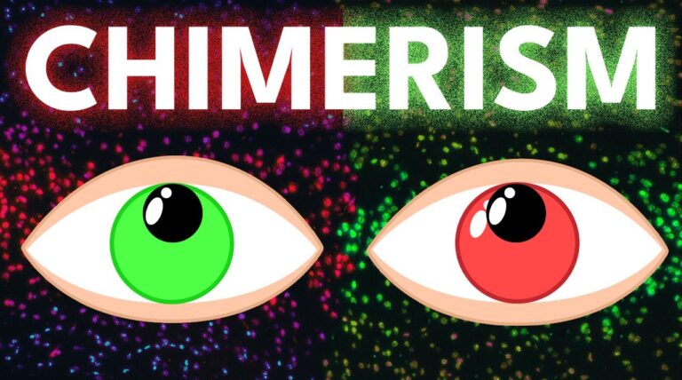 Latest YouTube Videos from Life Noggin | Science & Animation