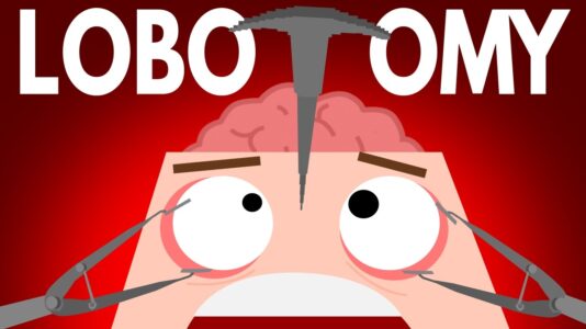 Life Noggin - Exploring Science, Life, and Curiosity | Educational ...