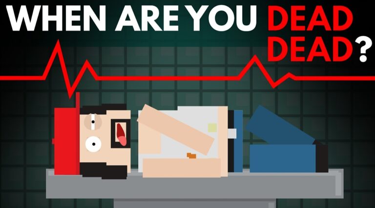 Latest YouTube Videos from Life Noggin | Science & Animation